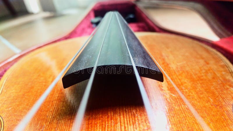 Neck and String of Violin stock image. Image of string - 116643401