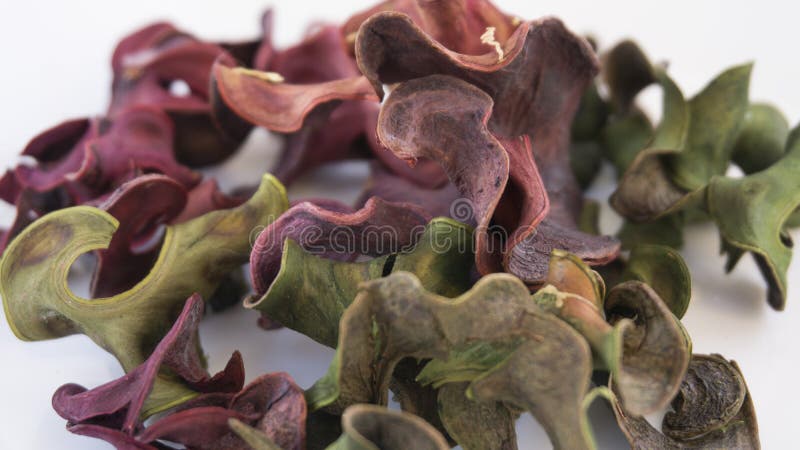 Dofta - Something Beautiful Stock Photo - Image of texture, fantasy ...