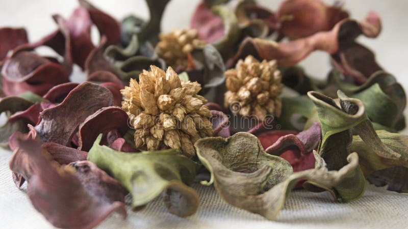 Dofta - Something Beautiful Stock Photo - Image of texture, silence ...