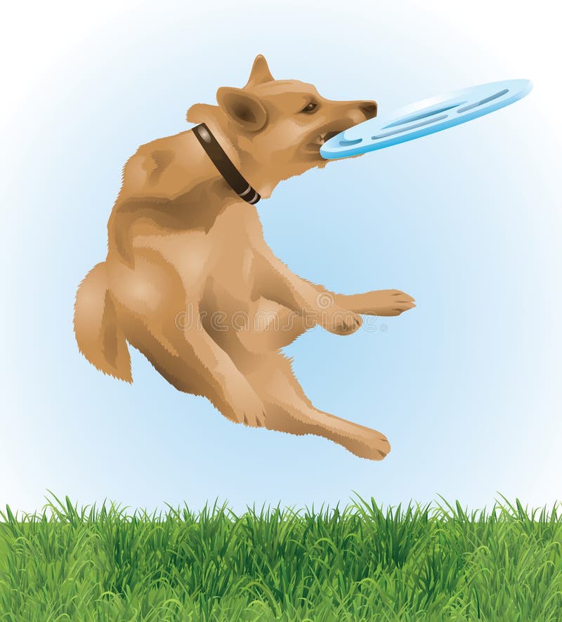 Frisbee Stock Illustrations – 936 Frisbee Stock Illustrations, Vectors ...