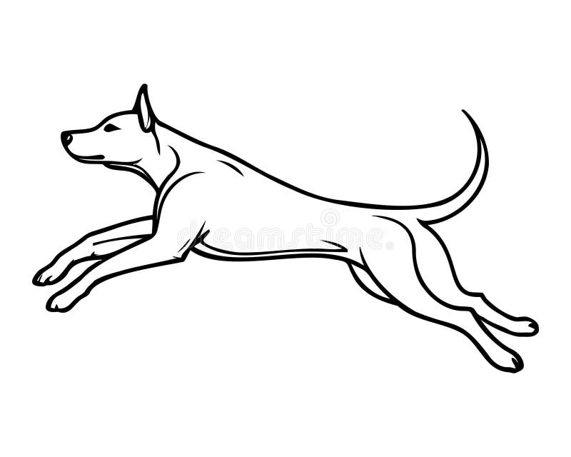 Jumping Dog Line Art, Sports Doggy, Runner Dog, Healthy Dog Stock ...