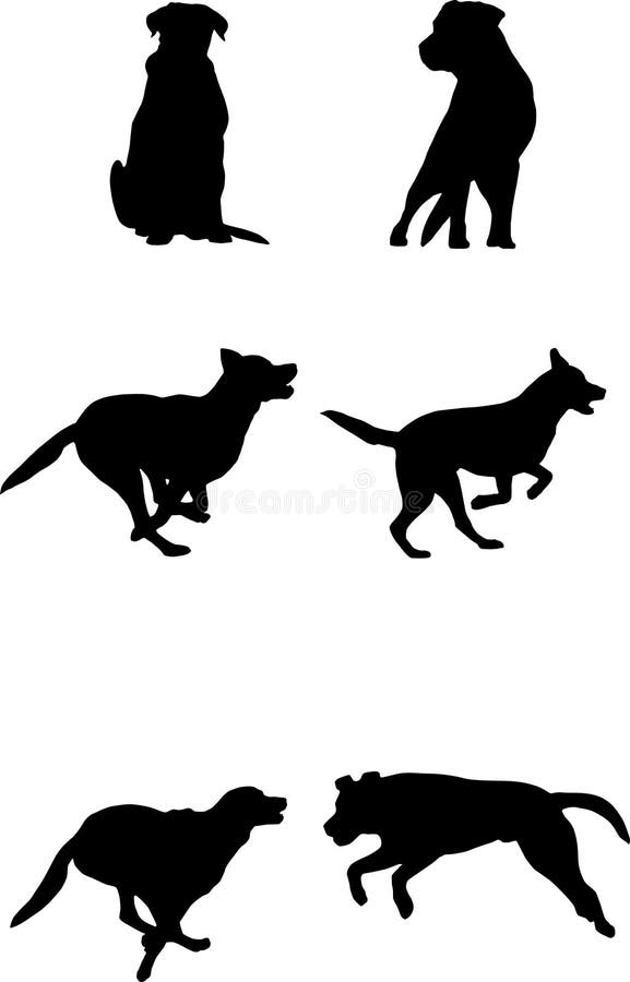 Dog in action stock vector. Illustration of collection - 10972576