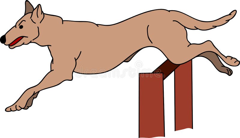 Dog Agility Stock Illustrations – 11,383 Dog Agility Stock ...