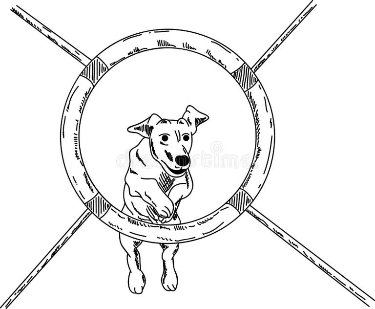 Cartoon Dog Agility Stock Illustrations – 672 Cartoon Dog Agility Stock ...
