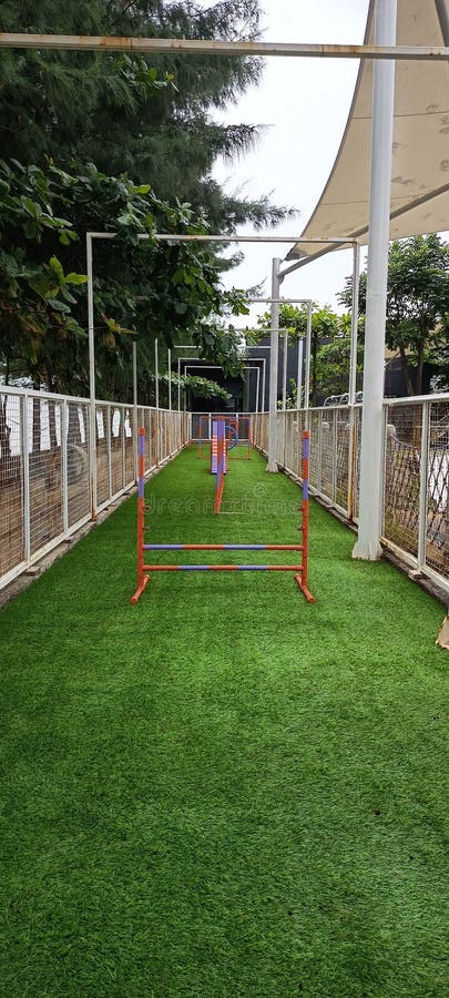 Overhead Shade Pet Back Yard Stock Photos - Free & Royalty-Free Stock ...