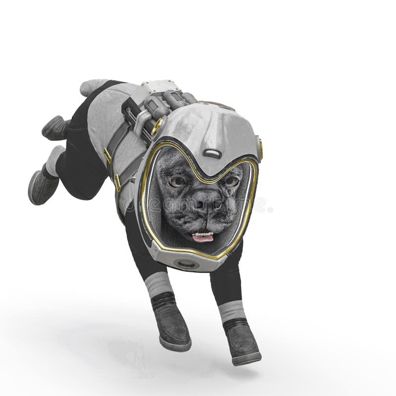 Frenchie Bull Dog Stock Illustrations – 142 Frenchie Bull Dog Stock ...