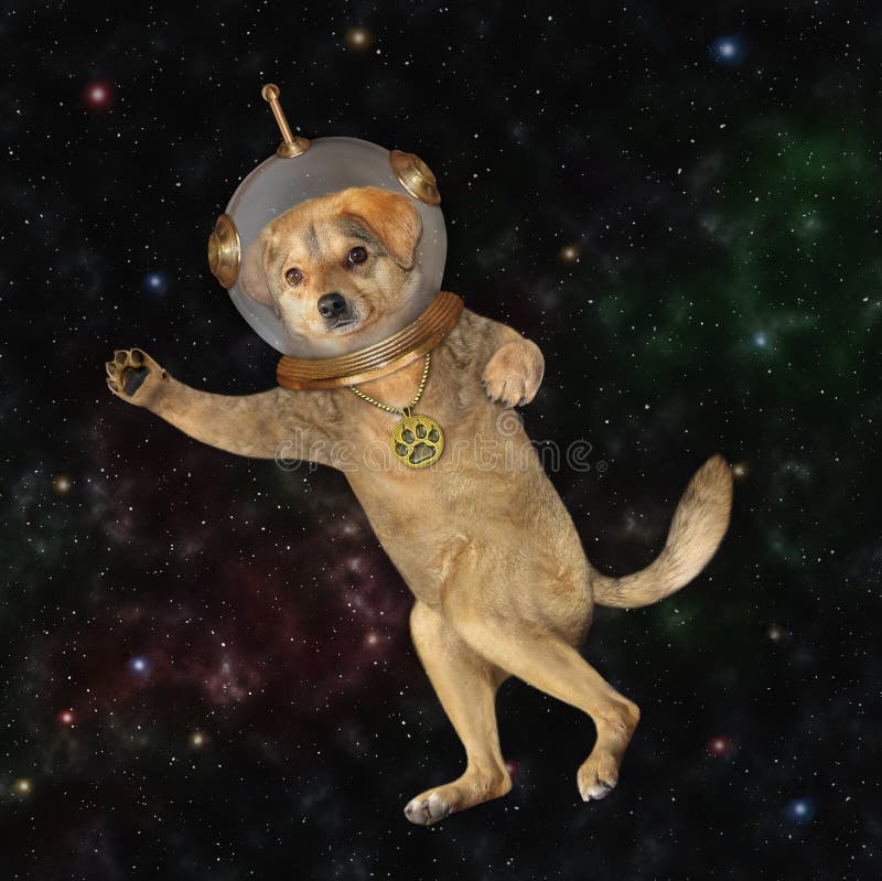 Dog Astronaut in Outer Space Stock Image - Image of concept, positive ...
