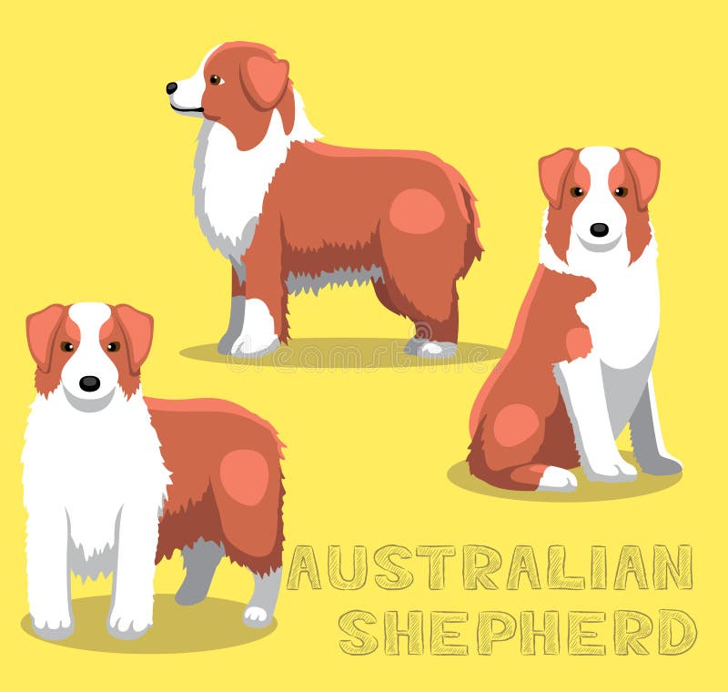 Australian Shepherd Dog Cartoon Stock Illustrations – 1,349 Australian ...