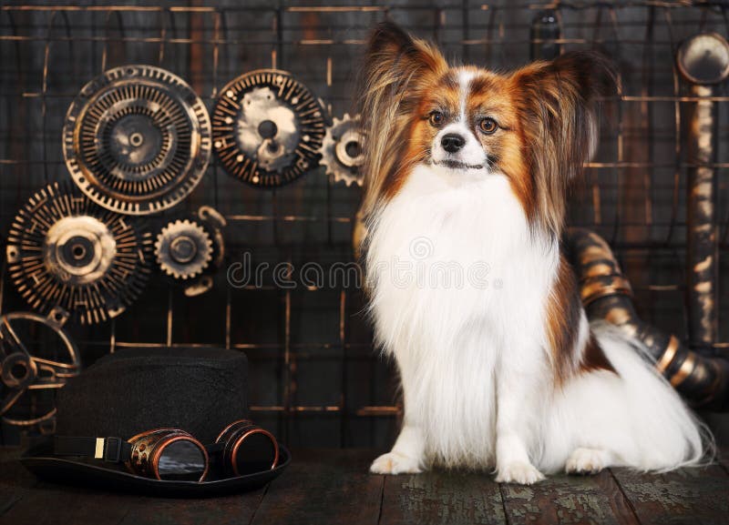 Steampunk Animals Stock Photos - Download 15 Royalty Free Photos