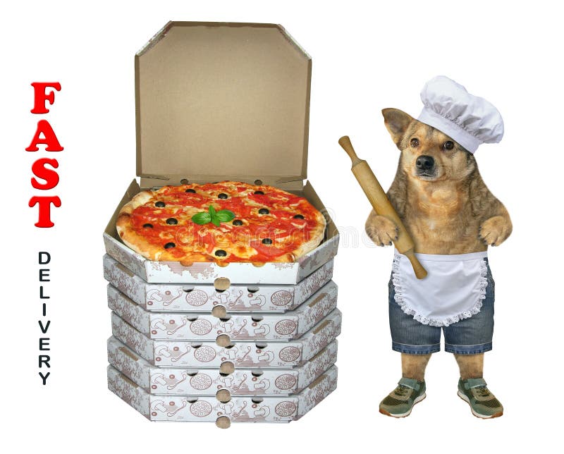 Dog Baker Near Stack of Pizza 2 Stock Image - Image of creative, meal ...