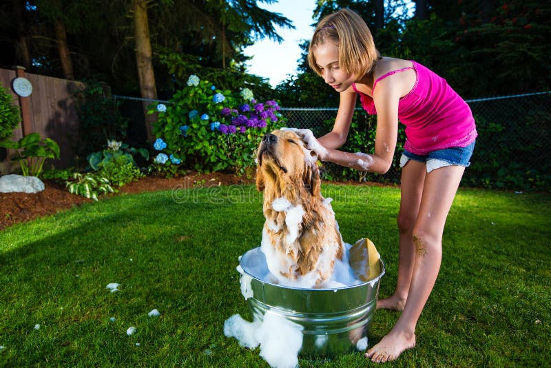 Family Washing Pet Dog in a Tin Bath Tub Stock Image - Image of woman ...