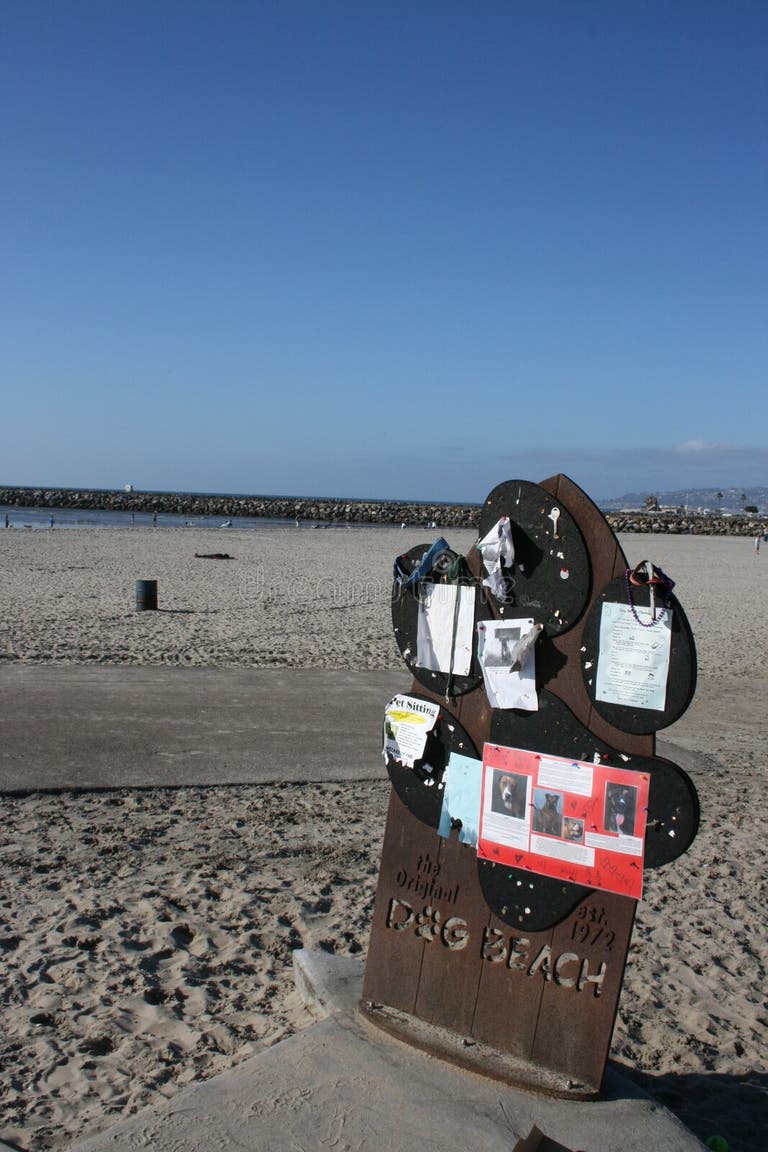 Mission Beach Dog Stock Photos - Free & Royalty-Free Stock Photos from ...