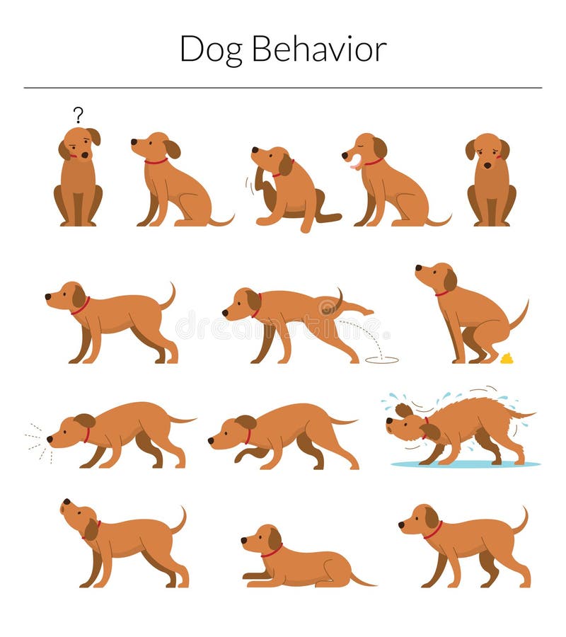 Dog Body Language Stock Illustrations – 209 Dog Body Language Stock ...