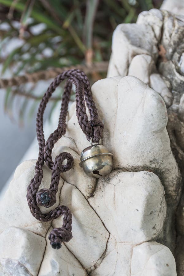 Dog bells stock image. Image of hand, feather, beauty - 61603961