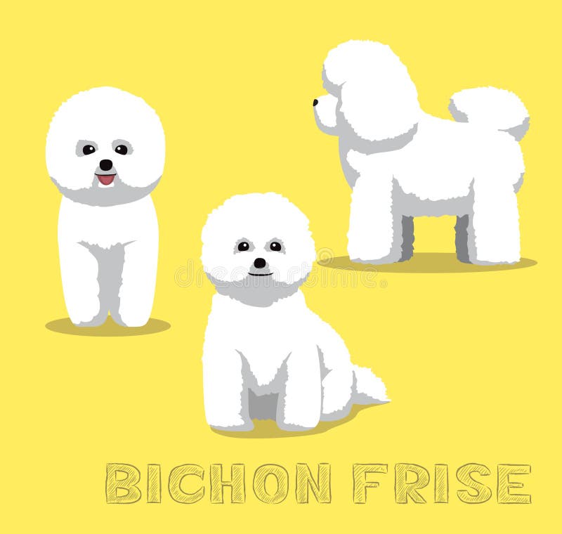 Dog Bichon Frise Cartoon Vector Illustration Stock Vector ...