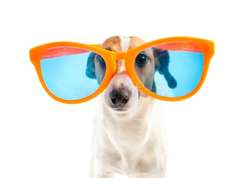 6,247 Funny Big Glasses Stock Photos - Free & Royalty-Free Stock Photos ...