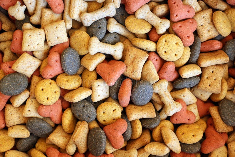Dog biscuits stock photo. Image of round, food, colours - 141224712