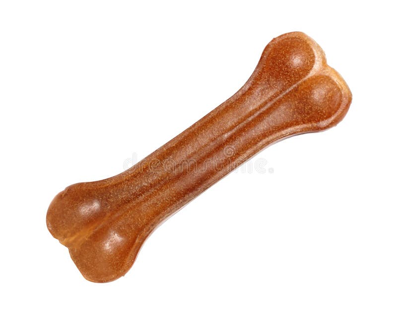 Dog bone stock photo. Image of food, snack, doggy, cutout - 22985466