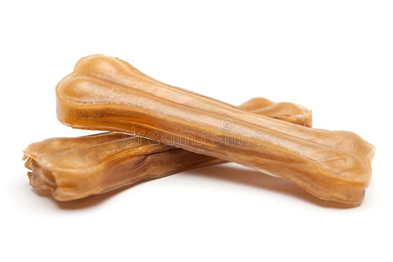 Dog with a rawhide bone stock image. Image of hairy, breed - 23053615