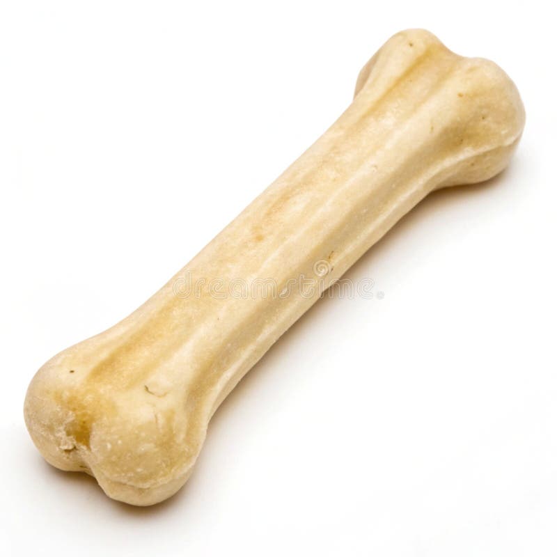 Dog Bone Isolated on White Background Stock Illustration - Illustration ...