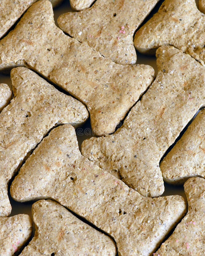 Dog Bone Pattern stock photo. Image of texture, treat, bone - 53022