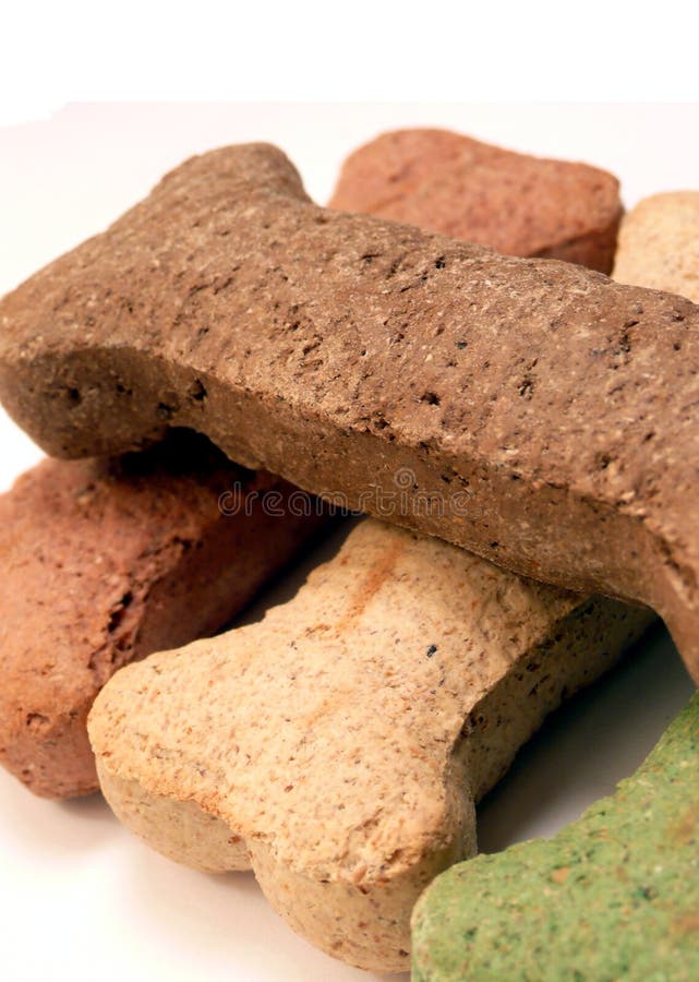 Dog bone pile stock photo. Image of canine, edible, closeup - 3490532