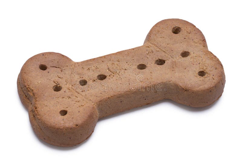 Dog Bone stock photo. Image of canine, food, biscuit - 166978054
