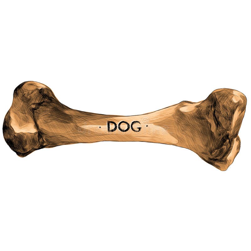 Dog bone sketch vector stock vector. Illustration of animals - 94838988