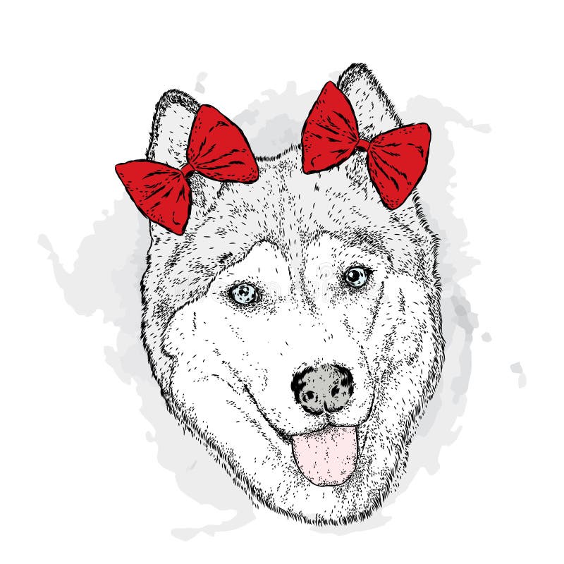 Dog with Bows. Vector Illustration. Cute Husky Stock Vector ...
