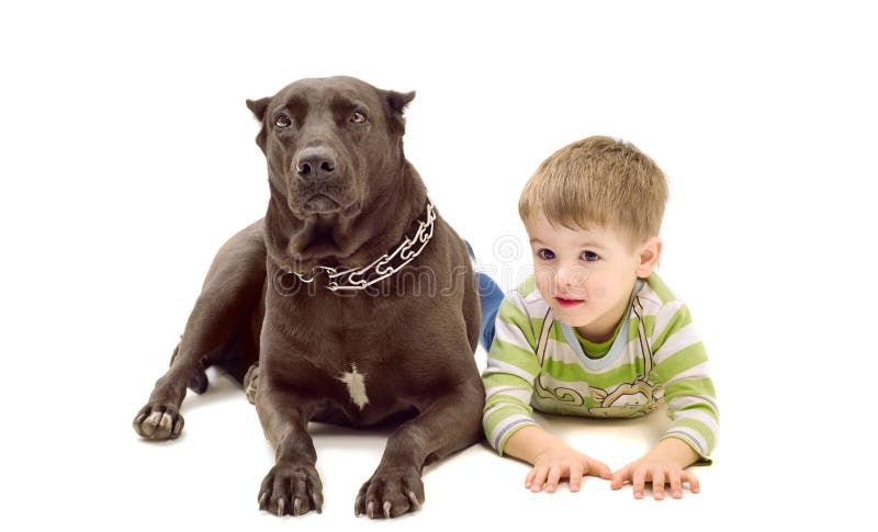 Dog and boy stock image. Image of funny, friendship, happy - 35773307