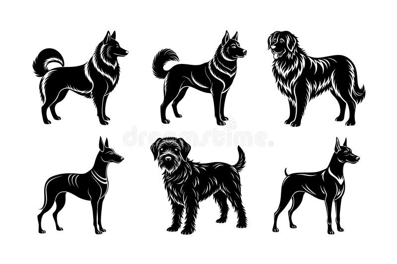 Dog Breed Vector Silhouette Set Stock Vector - Illustration of labrador ...