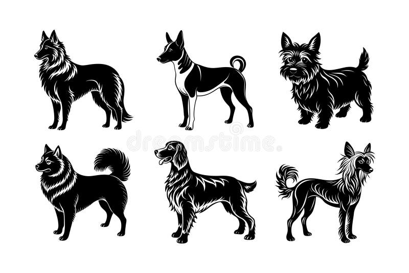 Dog Breed Vector Silhouette Set Stock Vector - Illustration of ...