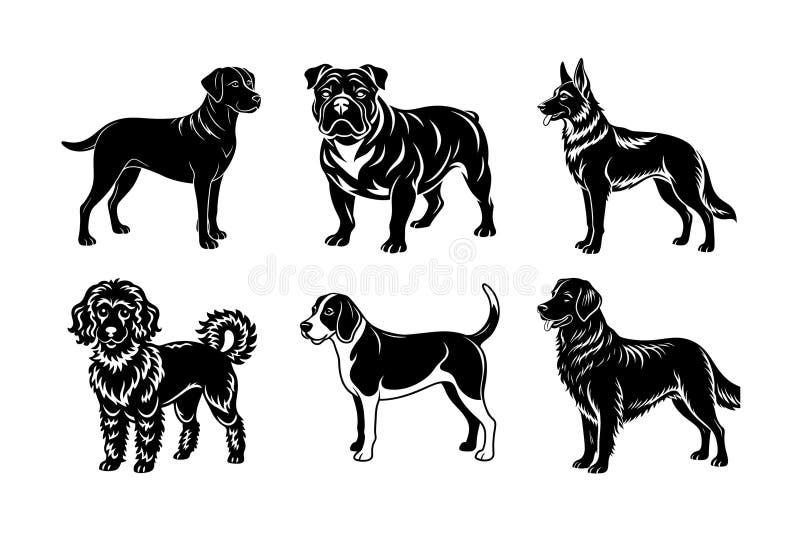 Dog Breed Vector Silhouette Set Stock Vector - Illustration of spaniel ...