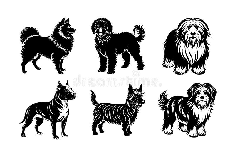 Dog Breed Vector Silhouette Set Stock Vector - Illustration of ...