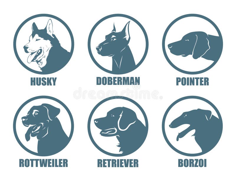 Dog breeds labels stock vector. Illustration of puppy - 26920122