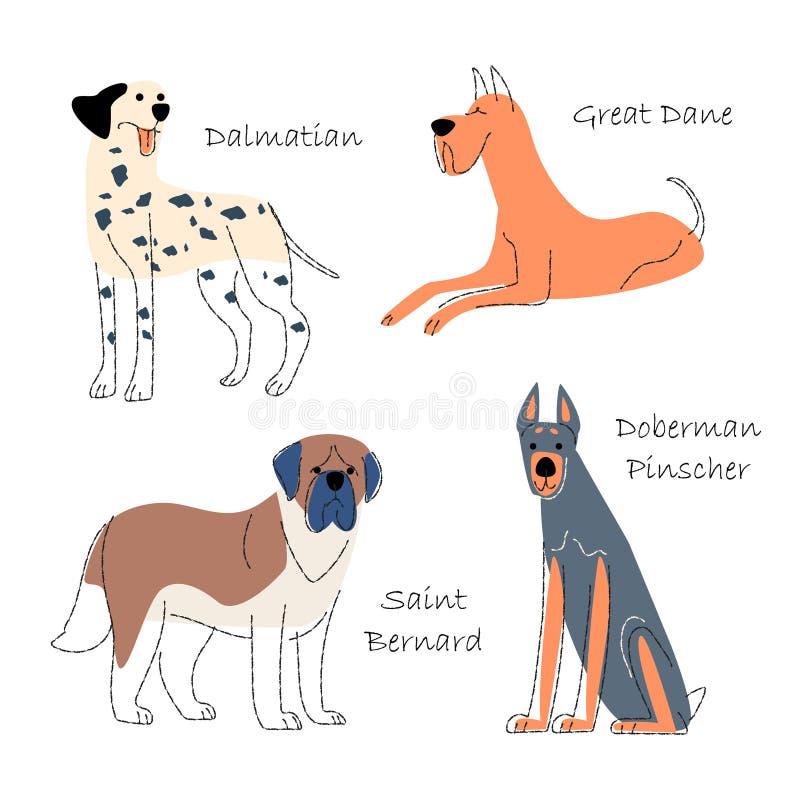 Dog Breeds Set 1 . Flat Shape and Pencil Line Drawing Design Stock ...