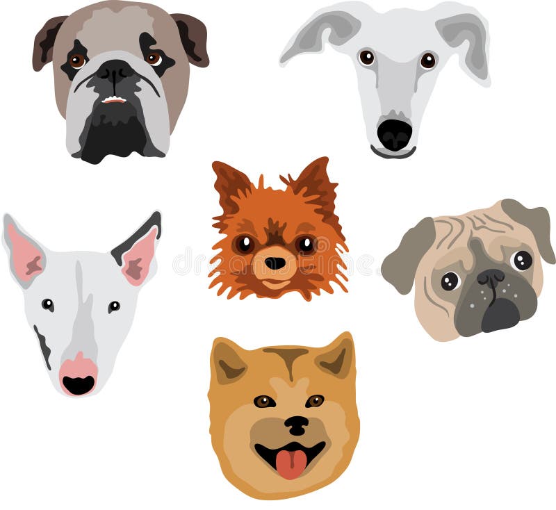 Dog breeds stock illustration. Illustration of animal - 38950297