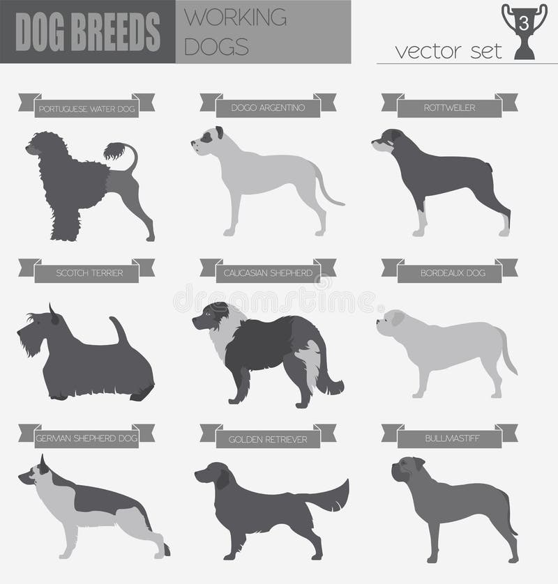 Dog Breeds. Working (watching) Dog Set Icon Stock Illustration ...