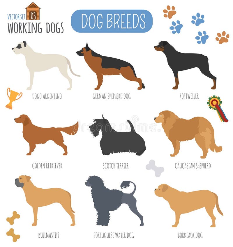 Dog Breeds. Working (watching) Dog Set Icon Stock Vector - Illustration ...