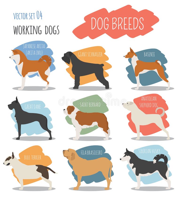 Dog Breeds. Working (watching) Dog Set Icon Stock Vector - Illustration ...