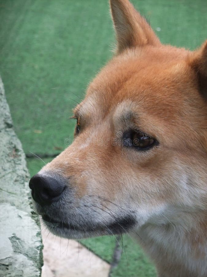 Interrest Somthing Stock Photos - Free & Royalty-Free Stock Photos from ...