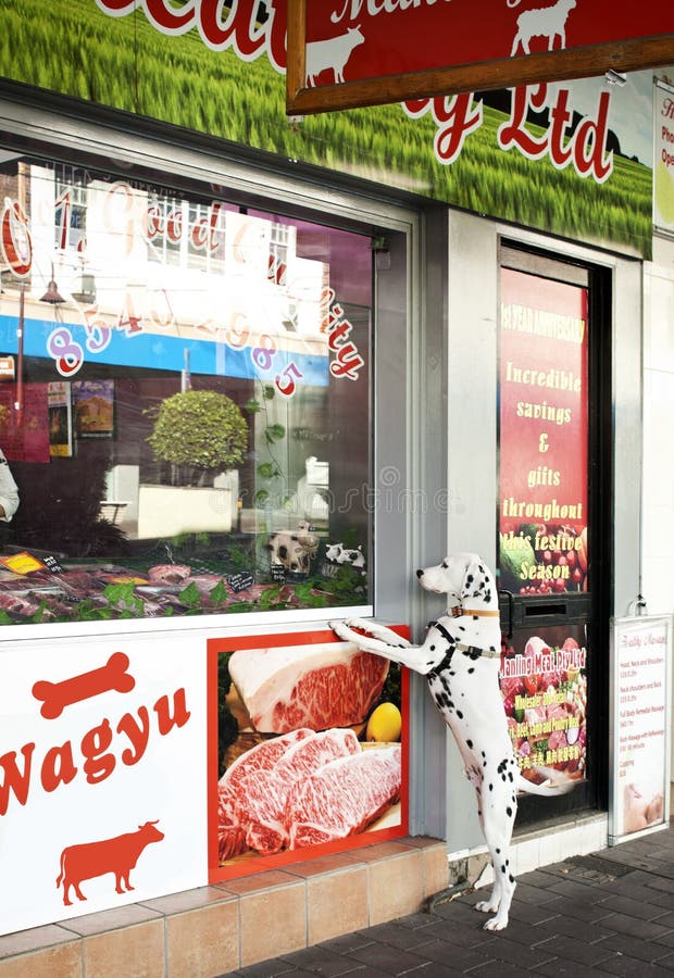 Dog Butcher Shop Window Meat Editorial Stock Image - Image of humor ...