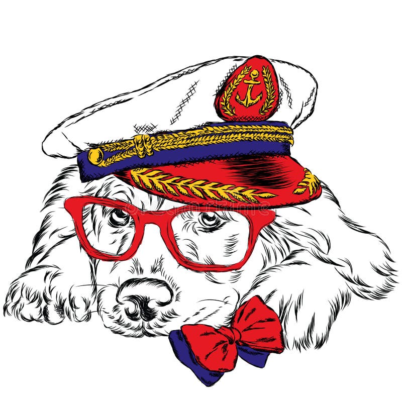 Dog in the Captain`s Cap. Vector Illustration Stock Vector ...
