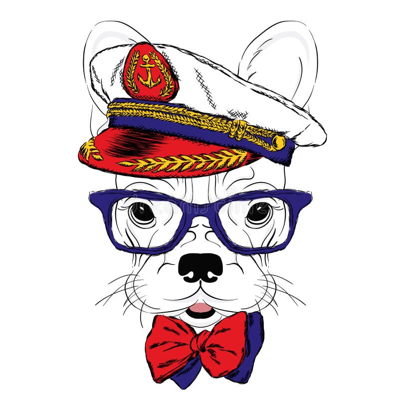 Dog in the Captain`s Cap. Vector Illustration Stock Vector ...