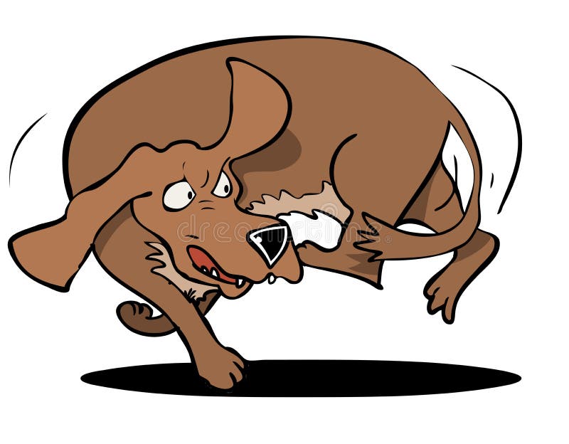 1,233,000+ Chasing dog tail Free Stock Photos - StockFreeImages