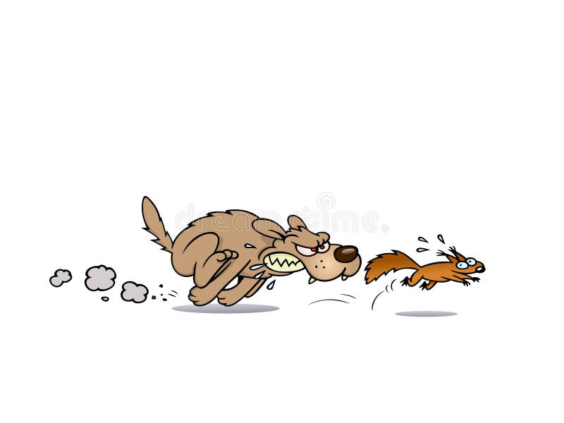 Why Do Dogs Like Chasing Squirrels