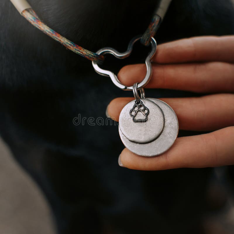 Dog Collar with a Medallion in the Hands Stock Photo - Image of collar ...