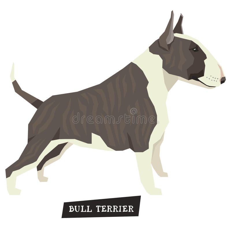 Dog Collection Bull Terrier Brindle and White Color Stock Vector ...