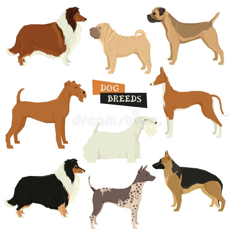 Dog Collection Geometric Style Vector Set of 9 Dog Breeds Isolated ...