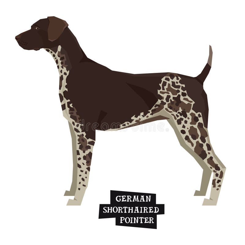 Dog Collection German Shorthaired Pointer Geometric Style Isolated ...